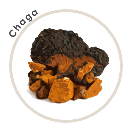 La Republica Superfoods